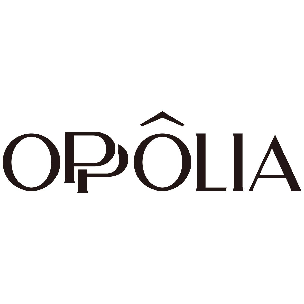 Italian Minimalism Bathroom Vanities | OPPOLIA